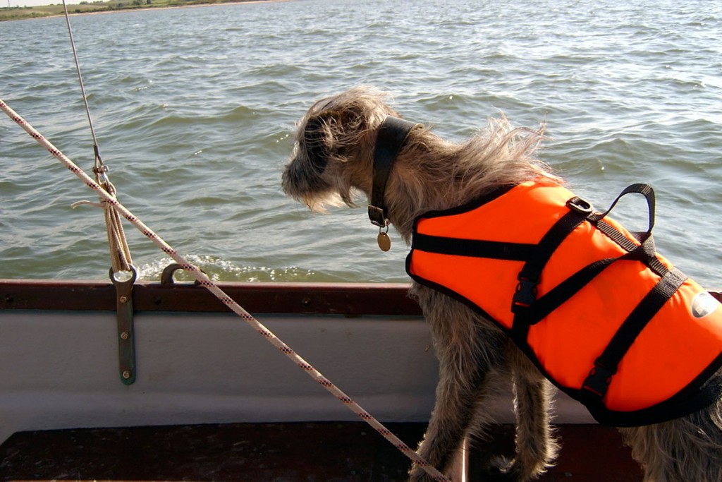 Stiffkey Cockle Club – The Stiffkey Cockle Club